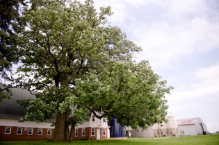 Farms in the Lens: Shepherd’s Way Farms – Heavy Table