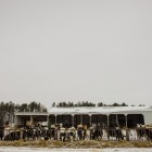 Farms in the Lens: Redhead Creamery – The Heavy Table