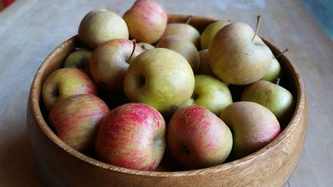 chestnut-apples – Heavy Table