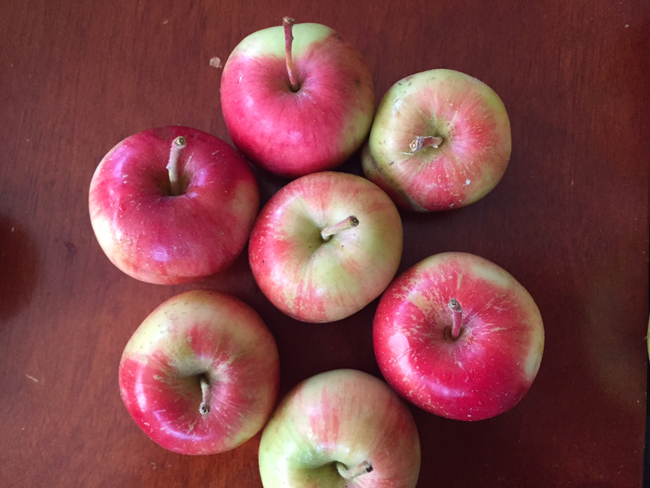 The Flavor of 22 Heirloom Apples, Reviewed – Heavy Table