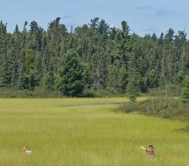 freemans-wild-ricing – Heavy Table