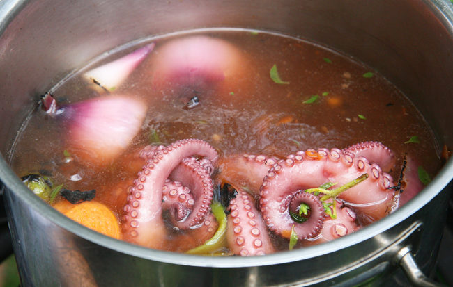 octopus-in-pot-colon – Heavy Table