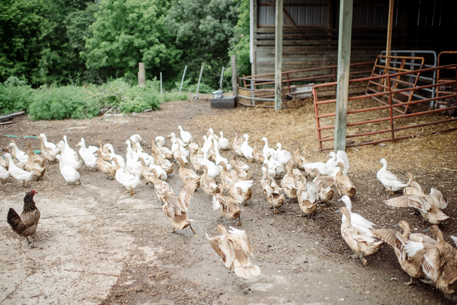 Tiffany Tripp and Andy Olson of Graise Farm – Heavy Table